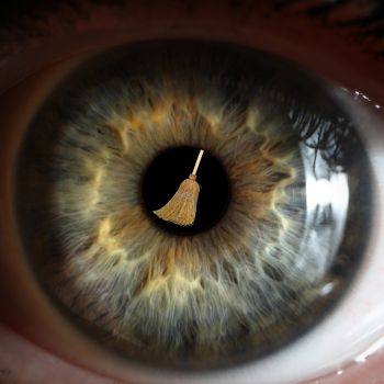 How the Eye and Brain Handles Removal of Natural Waste - Natural Eye ...